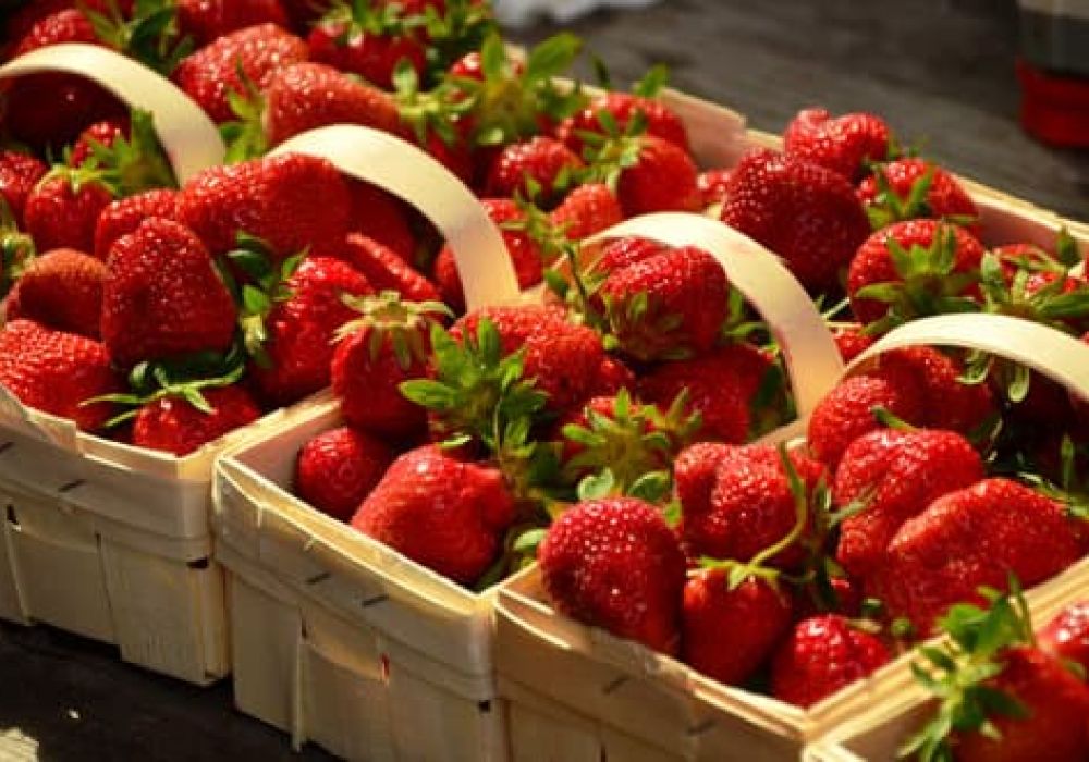 Fraises et Régime : Faibles en Calories, Riches en Fibres CSF